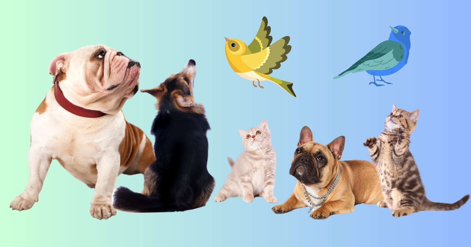 What TSA Allows And Restricts: A-Z Travel Security Guide