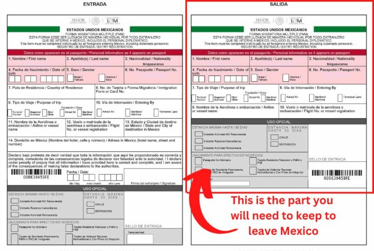 What Can I Bring Into Mexico - Powerful Insider Info To Fly