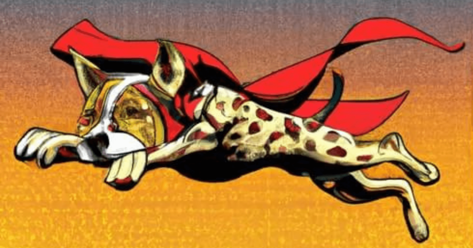 Do Dogs Get Jet Lag - Tips To Help Your Dog Recover Flying