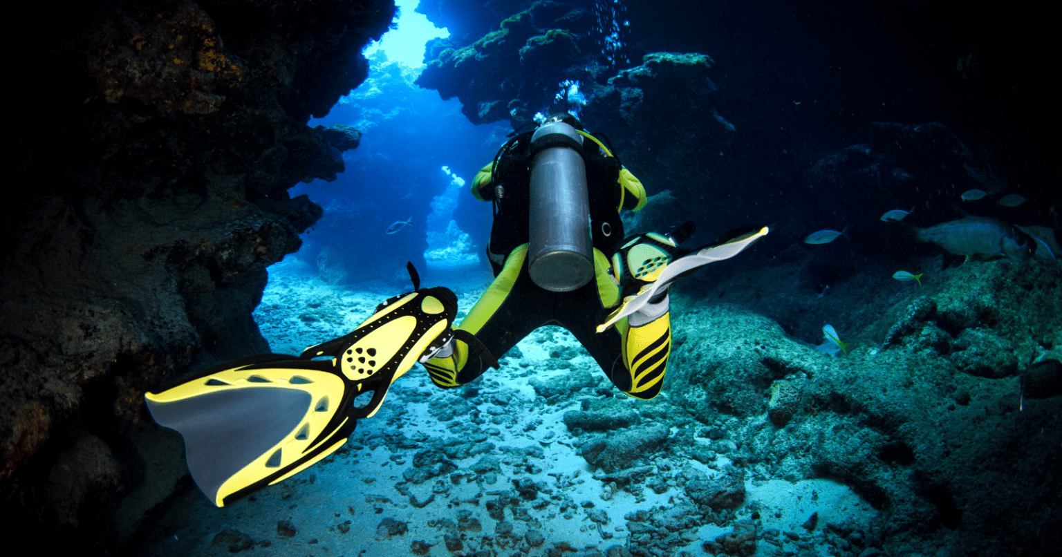 Best Scuba Fins For Travel: Top Picks And Tips On Packing To Fly
