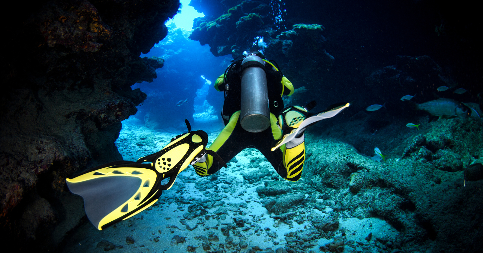 Best Scuba Fins For Travel: Top Picks And Tips On Packing To Fly
