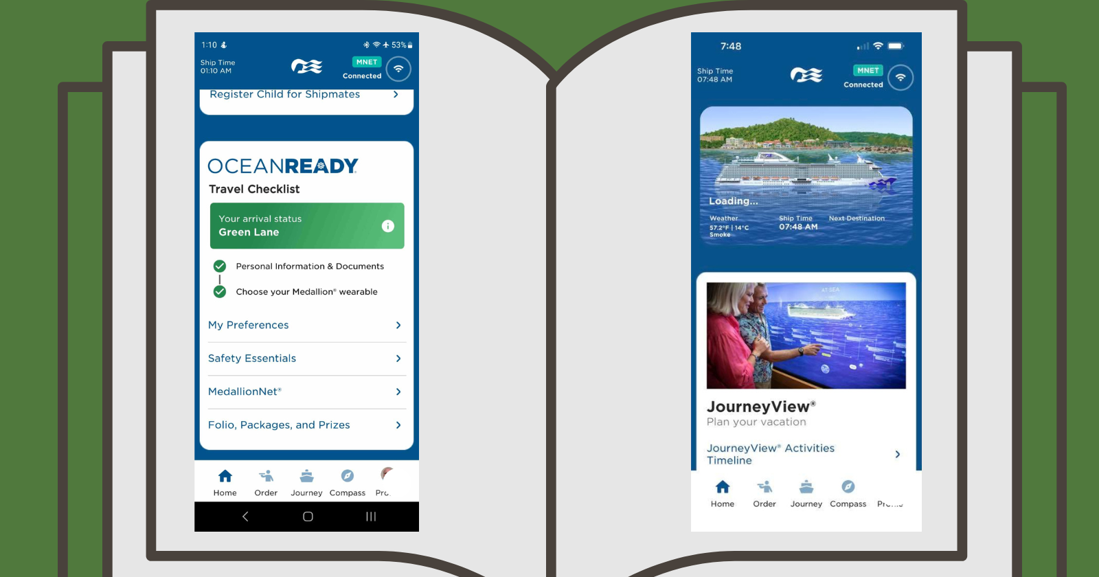 Princess Medallion App With Step By Step Guide For Use