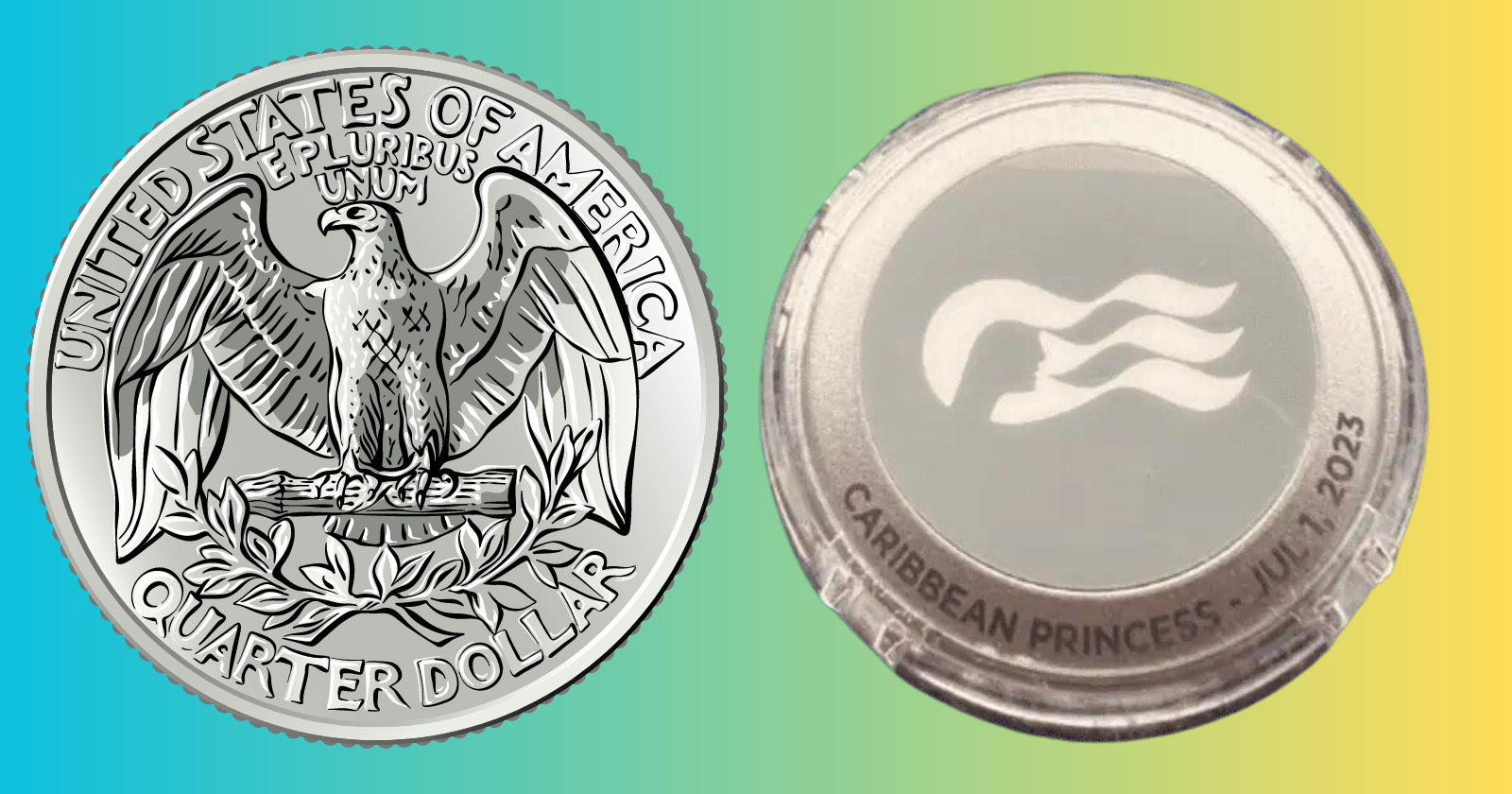 Princess Medallion App With Step By Step Guide For Use